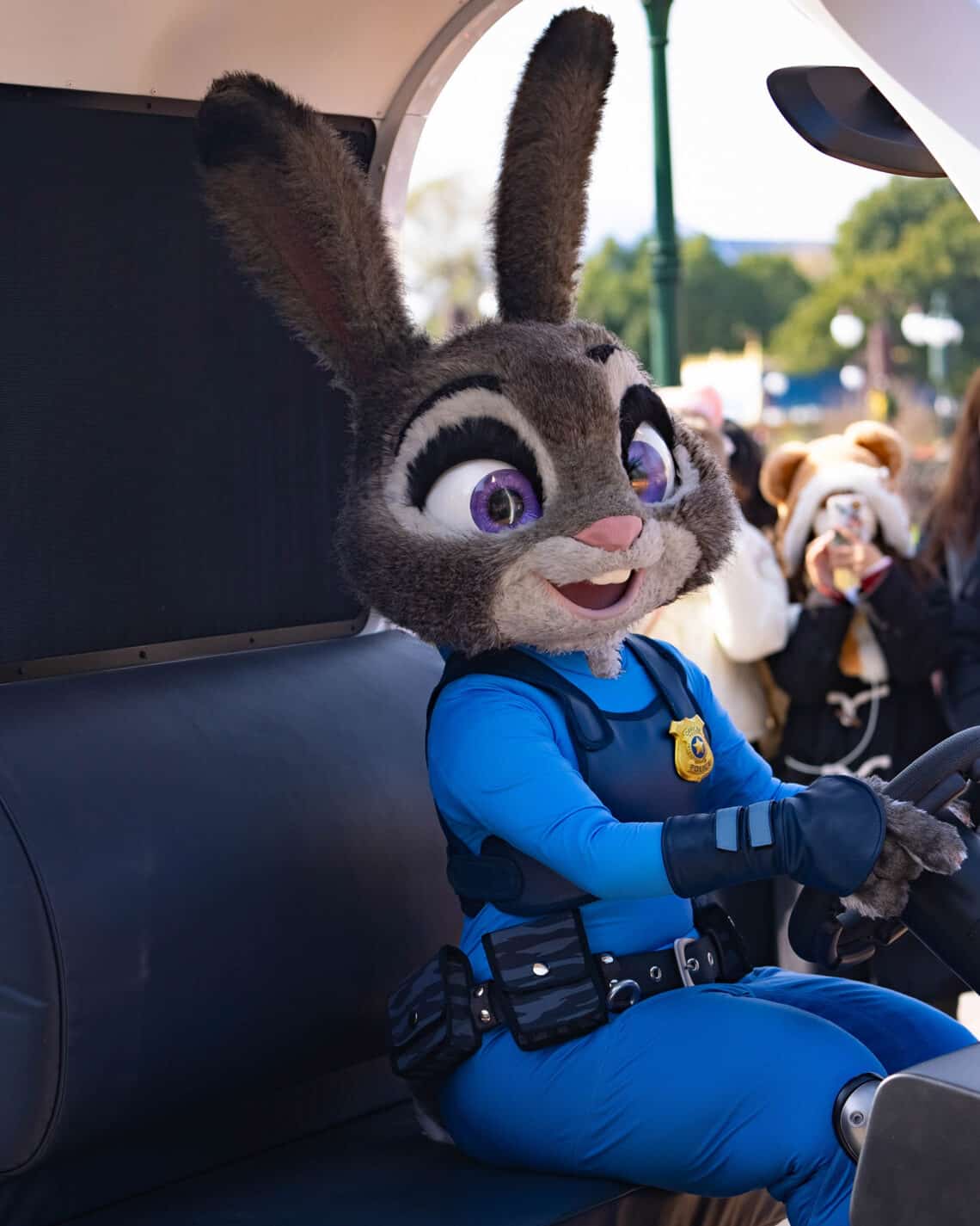 Shanghai Disneyland Zootopia Celebrates New Residents | Your Disney